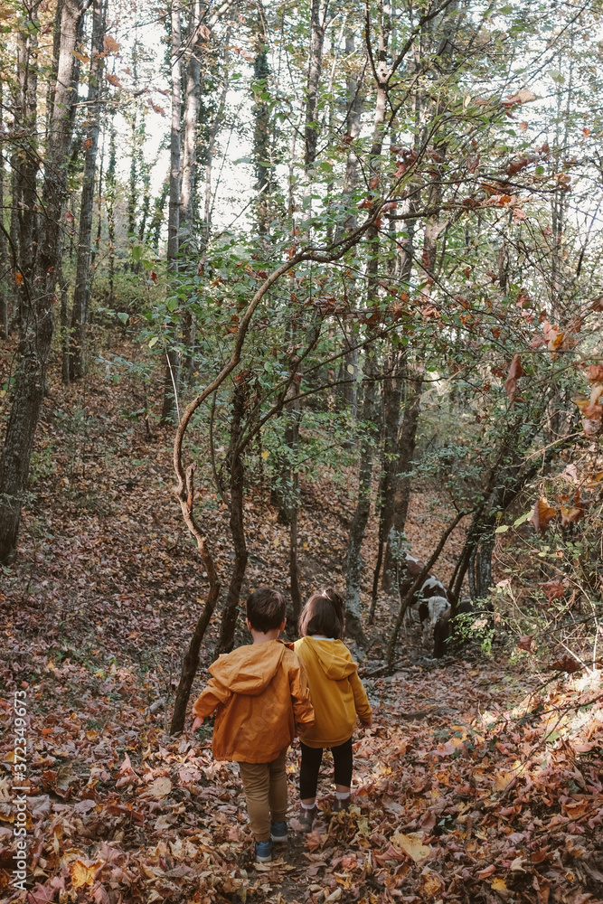 Kids playing in the woods Stock Photo | Adobe Stock