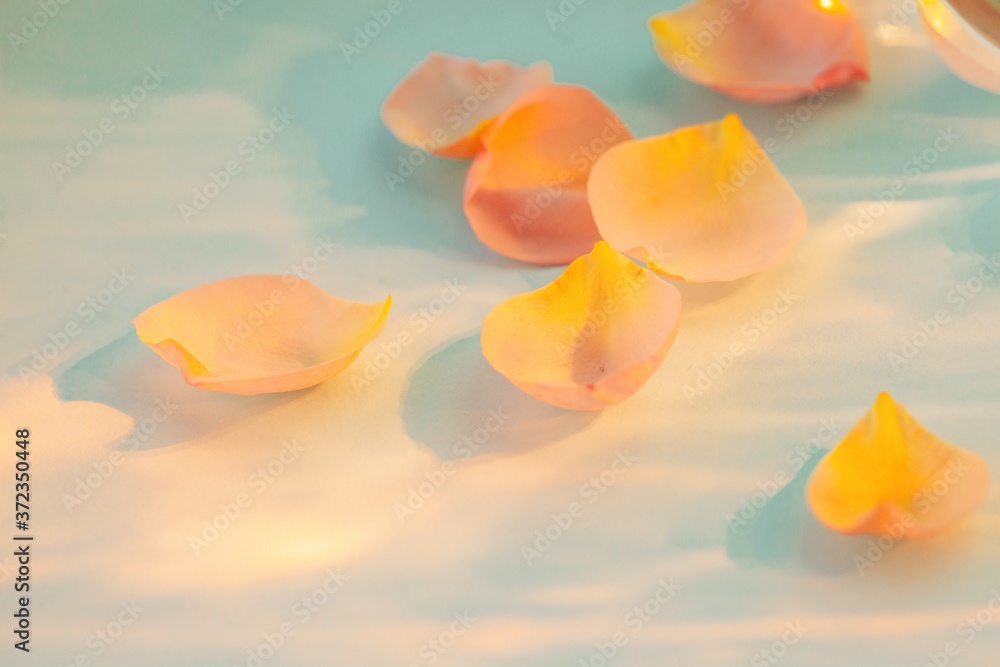 Rose petals in warm light Stock Photo | Adobe Stock