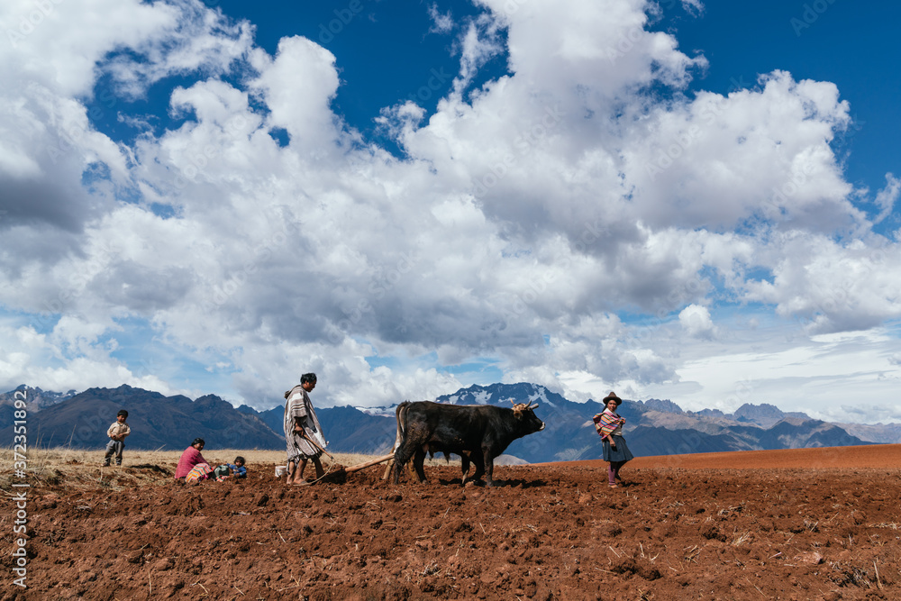 Indigenous couple farming Stock Photo | Adobe Stock