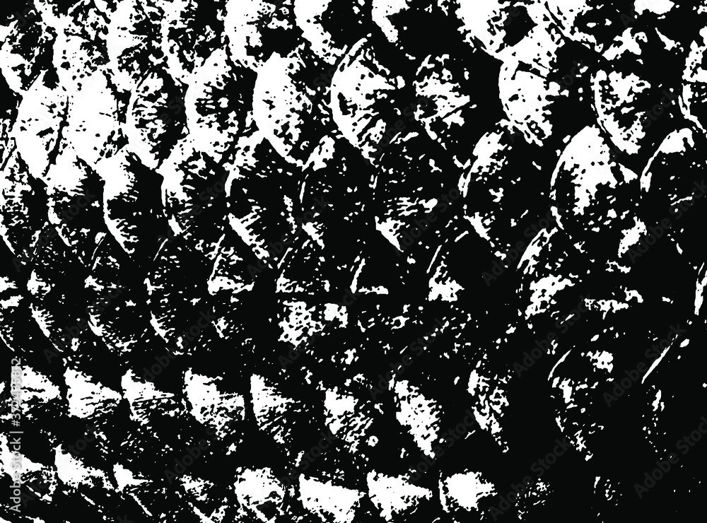Fish scales texture. Scales background.Grunge texture. Grunge black and ...