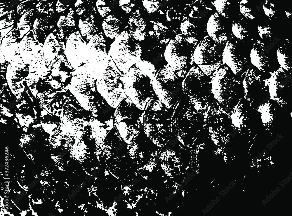 Fish scales texture. Scales background.Grunge texture. Grunge black and ...