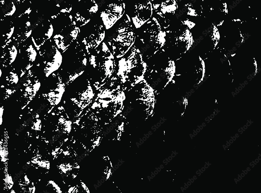 Fish scales texture. Scales background.Grunge texture. Grunge black and ...