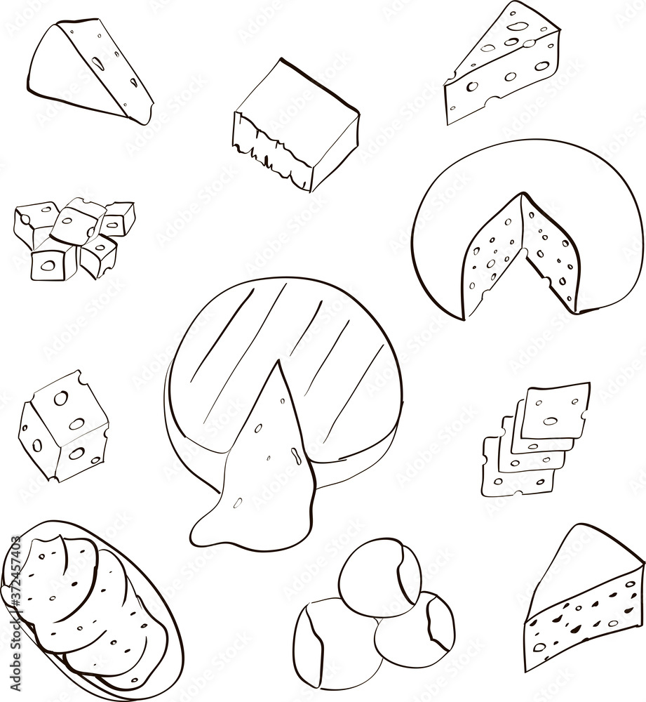 Vector illustration of cheese types in hand drawn style. Cheese ...