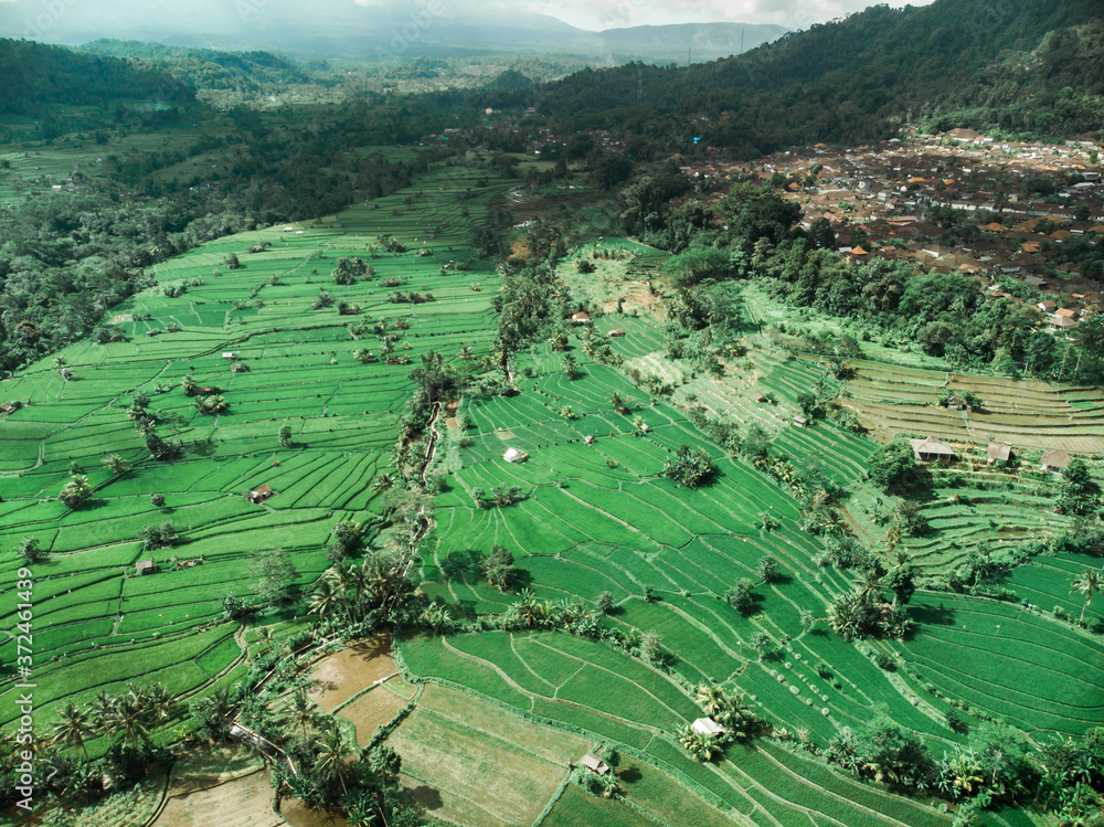 The rice fields terrace are works of art. Bali Rice Terraces. One of ...