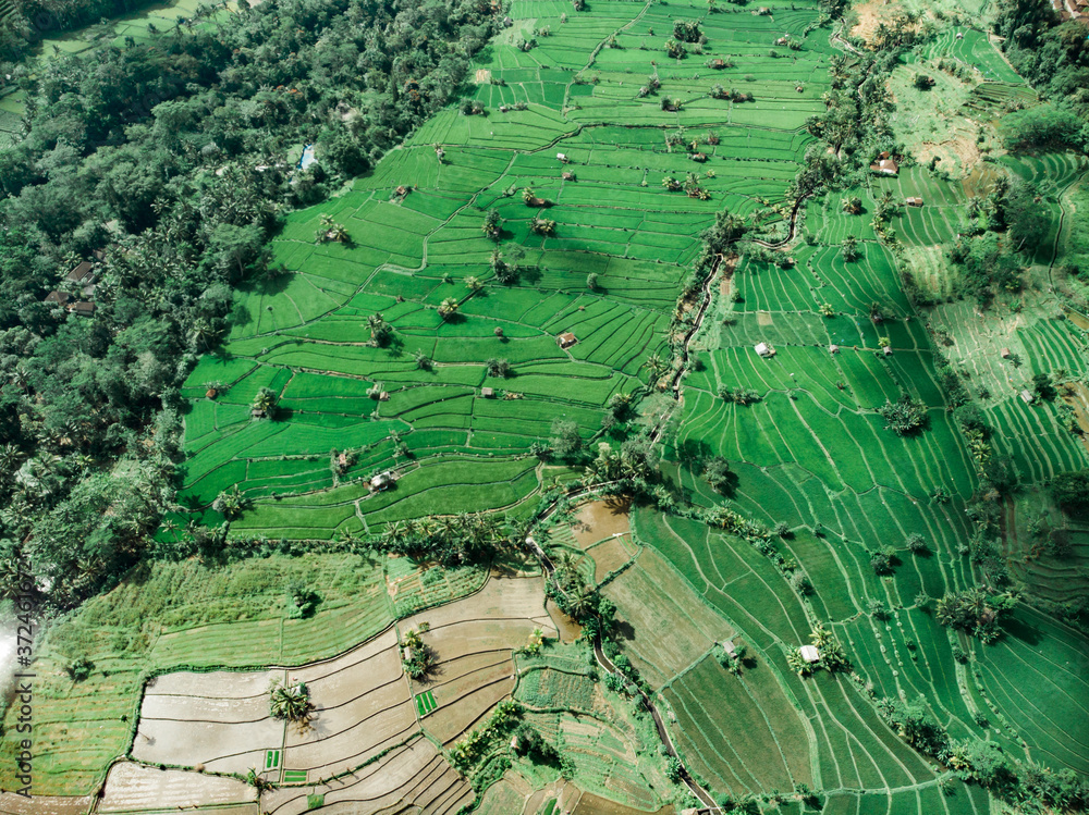 The rice fields terrace are works of art. Bali Rice Terraces. One of ...