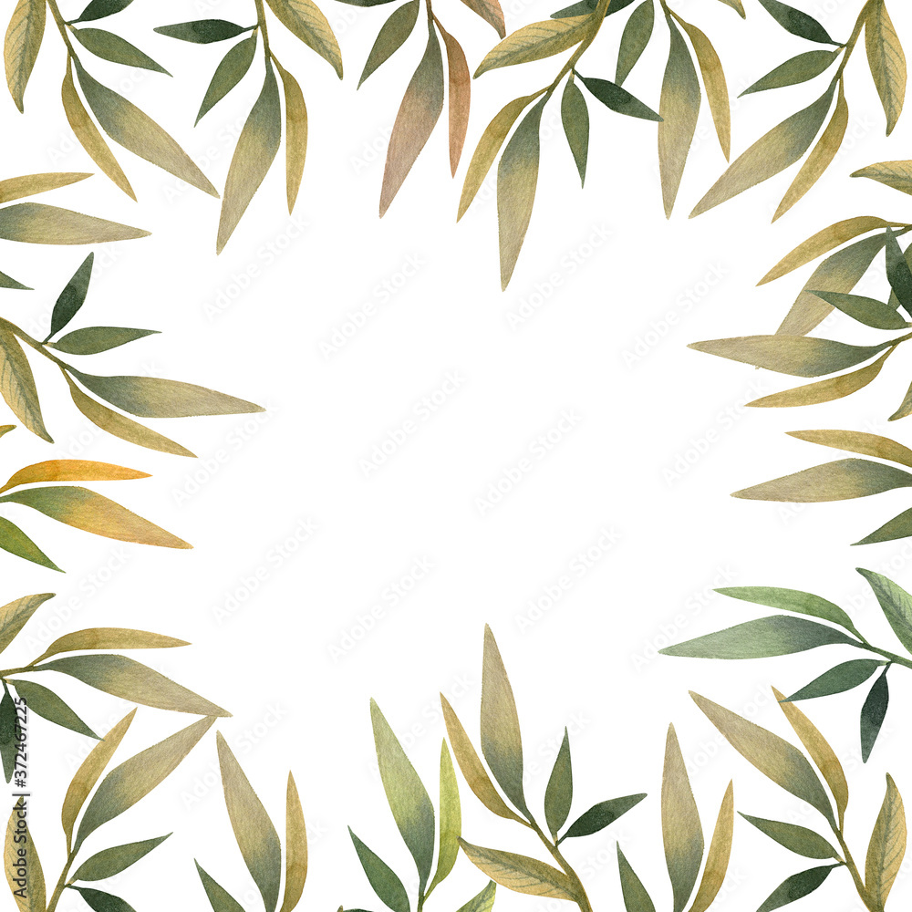 Watercolor olive floral illustration - olive bouquet frame, border for ...