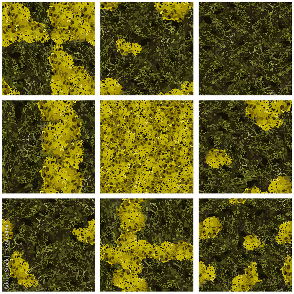 Moss Texture Tileable