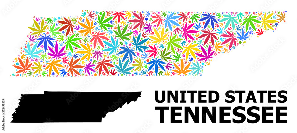 Vector Collage Map of Tennessee State of Colored Cannabis Leaves and ...