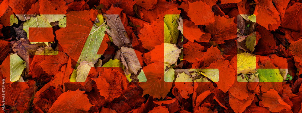 fall text in red orange color fallen leaves of hazel tree environment ...