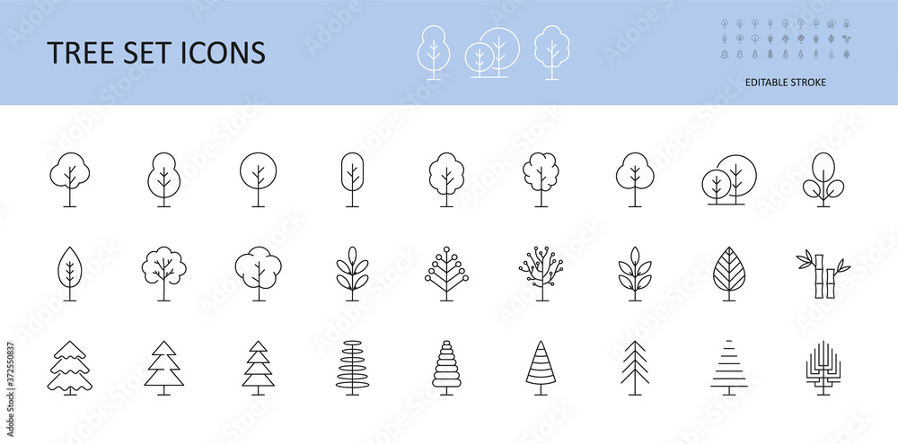 Tree vector set icons. Trees with crown, leaves, spruce, coniferous ...