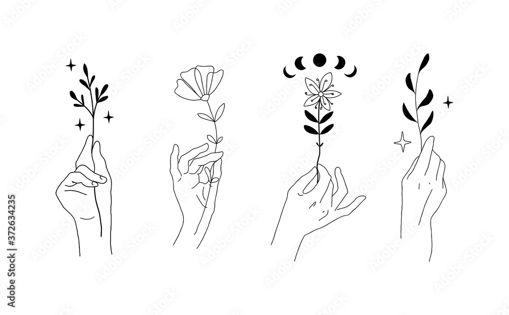 Hands set with flowers and plants. Graceful female hands, mystical ...
