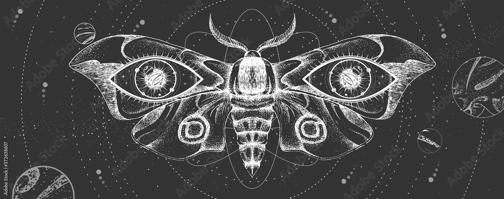 Modern magic witchcraft card with solar system and butterfly. Hand ...