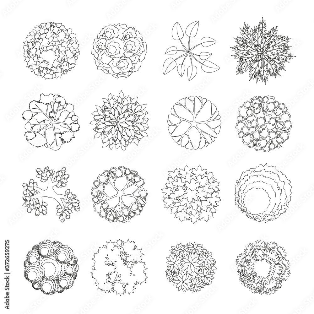 Vector set. Trees, bushes and plants. Top view. Collection for ...