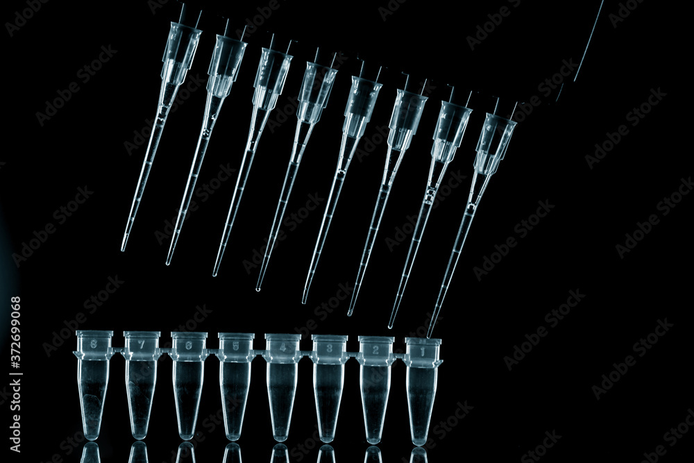 PCR Tube Strips Well and Pipette in genetic research laboratory close ...