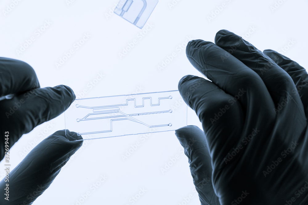 Organ on chip OOC and lab on chip LOC - microfluidic device chip that ...