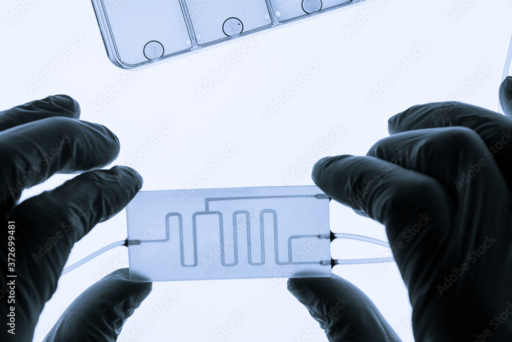 Organ on chip OOC and lab on chip LOC - microfluidic device chip that ...