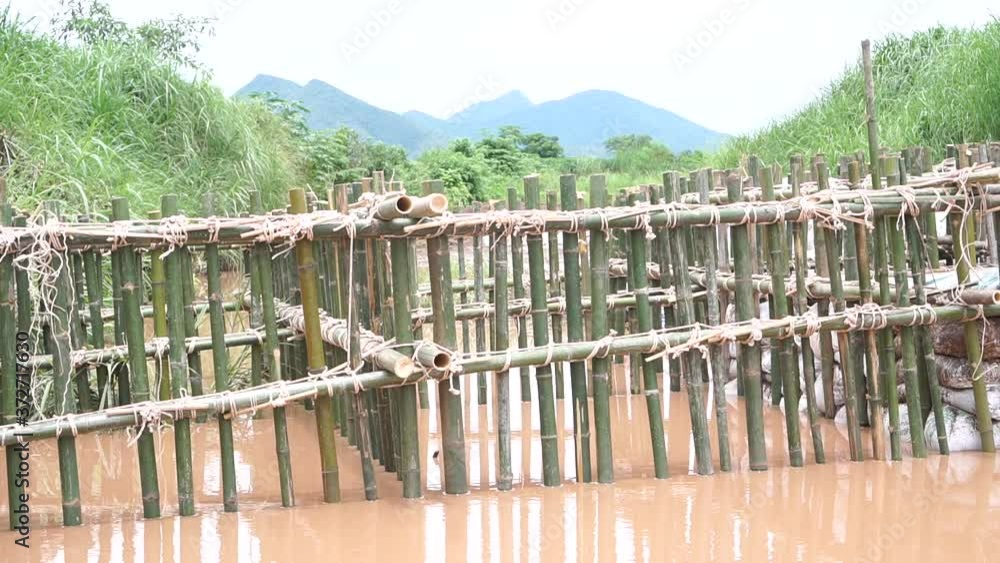 Building dam of bamboo overflow to prevent flooding in rainy season and ...
