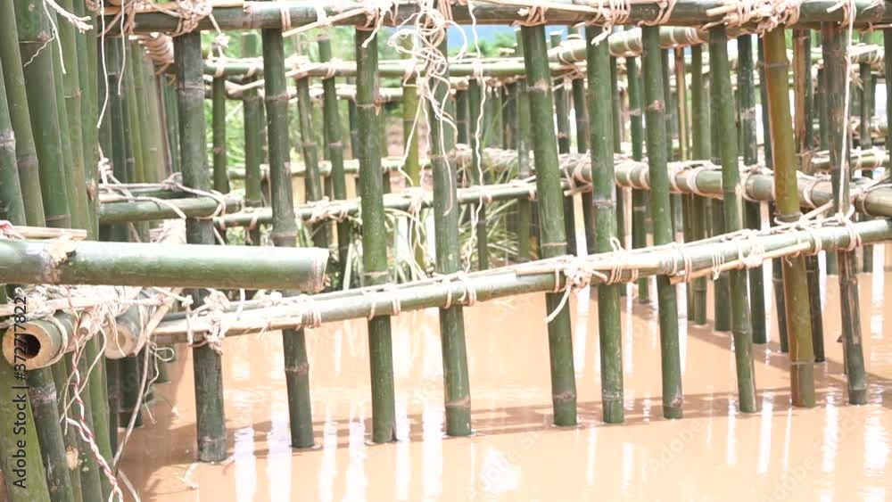 Building dam of bamboo overflow to prevent flooding in rainy season and ...