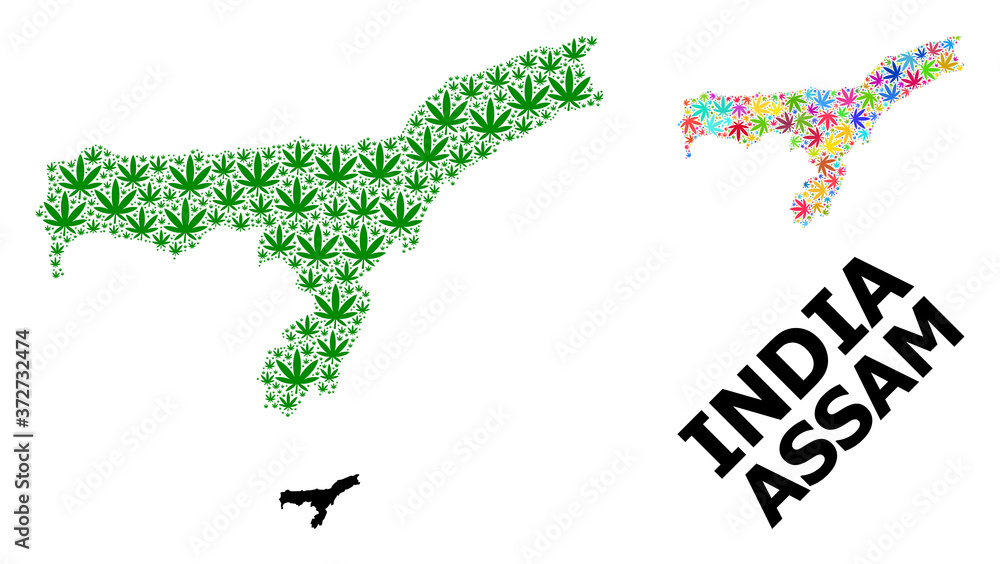 Vector Collage Map of Assam State of Bright and Green Weed Leaves and ...