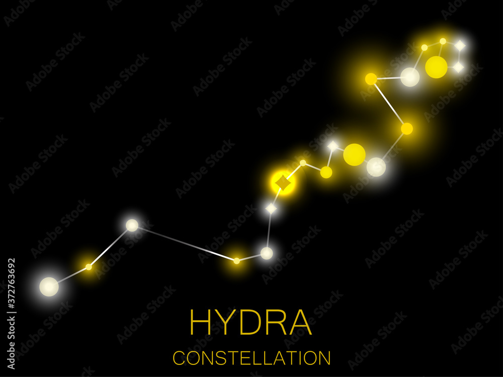 Hydra constellation. Bright yellow stars in the night sky. A cluster of ...