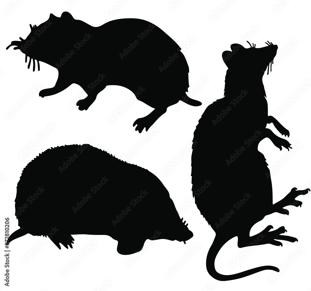 ratón icono de vector, diferentes tipos de rata, ratas Stock Vector ...