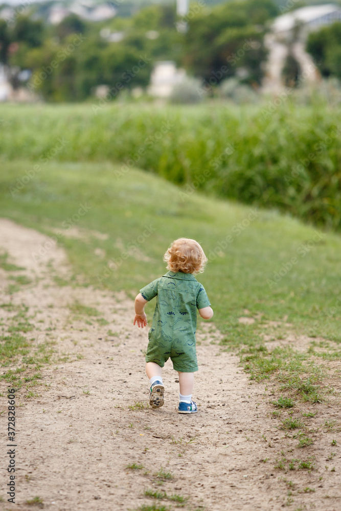 Cute little boy walking along the path on the background of reeds. Rear ...