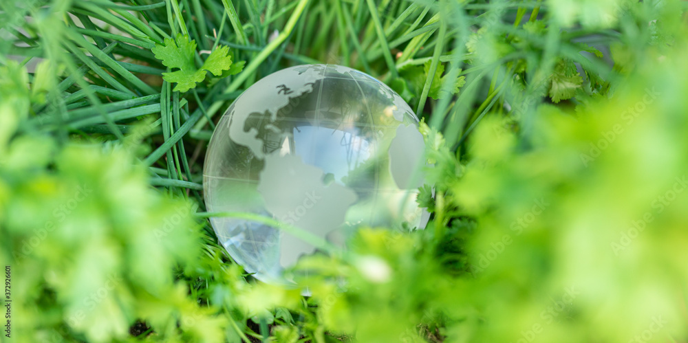 earth green concept glass sphere. Stock Photo | Adobe Stock