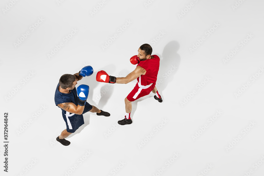 Two professional boxers boxing isolated on white studio background ...