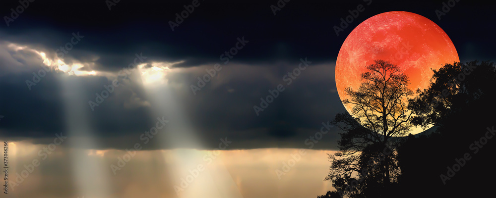 Blood Moon on Halloween night.Image of blood moon with silhouette ...