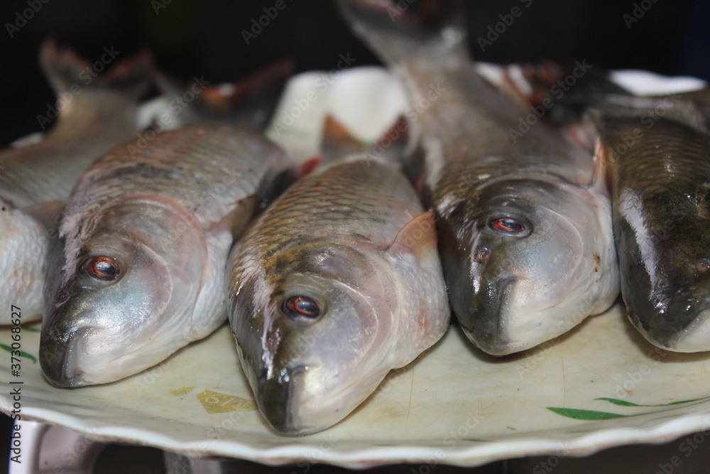Popular Rohu or Rohit fish of Indian subcontinent over white background ...
