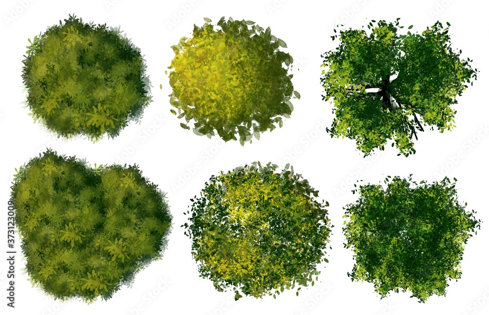 set of green grass,set of watercolor trees top view for landscape plan ...