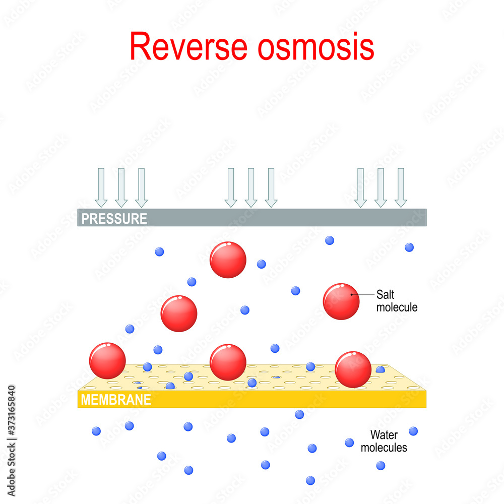reverse osmosis. chemical experiment. Stock Vector | Adobe Stock