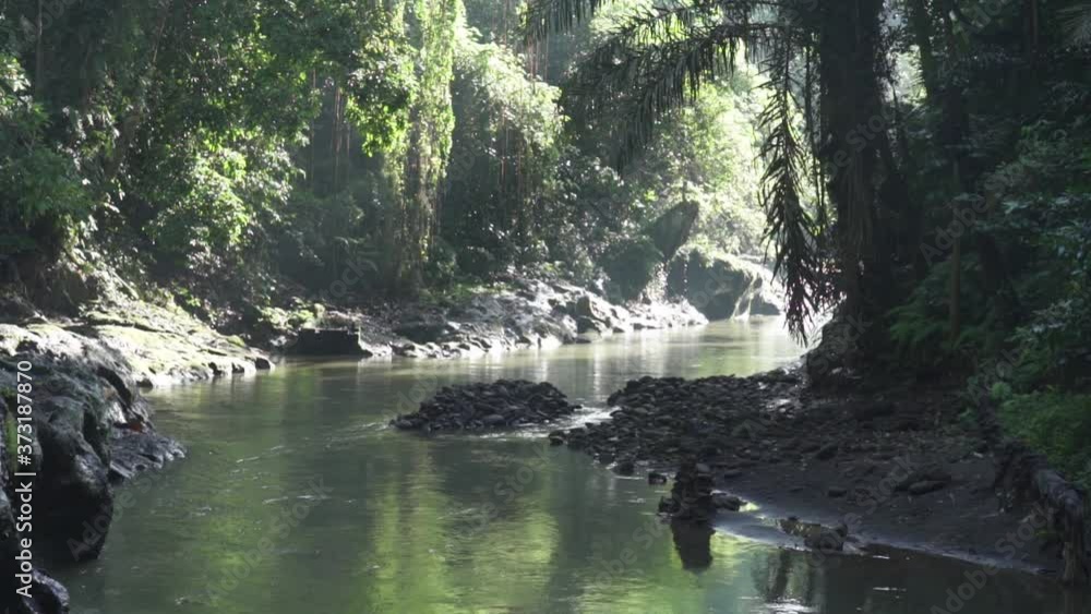 Bali, Indonesia - Kemenuh Monkey River and Jungle in Gianyar ...