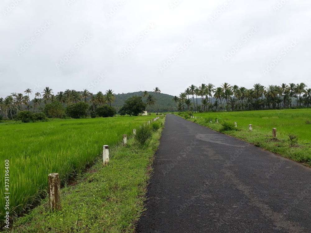 rural landscape with road, Indian road side view in goa, monsoon season ...