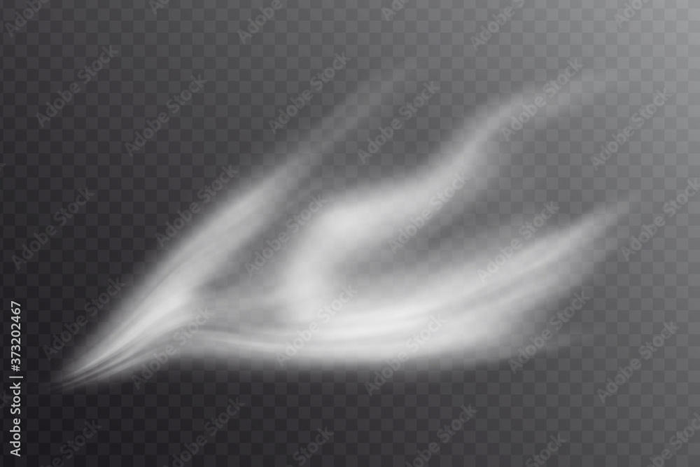 Vector smoke on a transparent background, realistic vector drawing ...