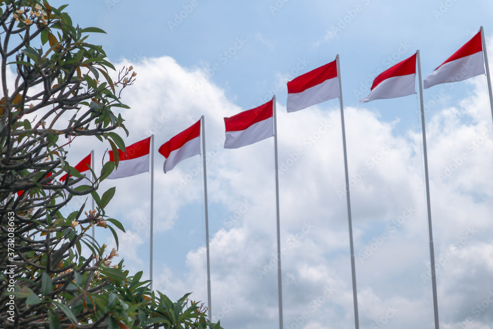 a line of Indonesian flags with the sky as the background. the theme of ...
