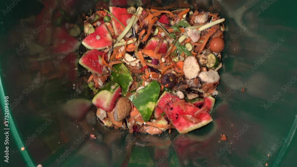 Organic biodegradable waste bin for composting. Vegetable, fruit and ...