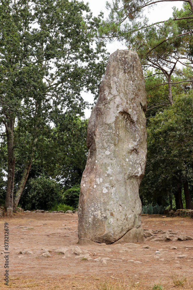 Menhir Geant du Manio - Giant of Manio - the largest menhir in Carnac ...
