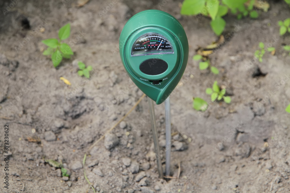 Soil measurements with a digital device. Green plants measure pH and ...