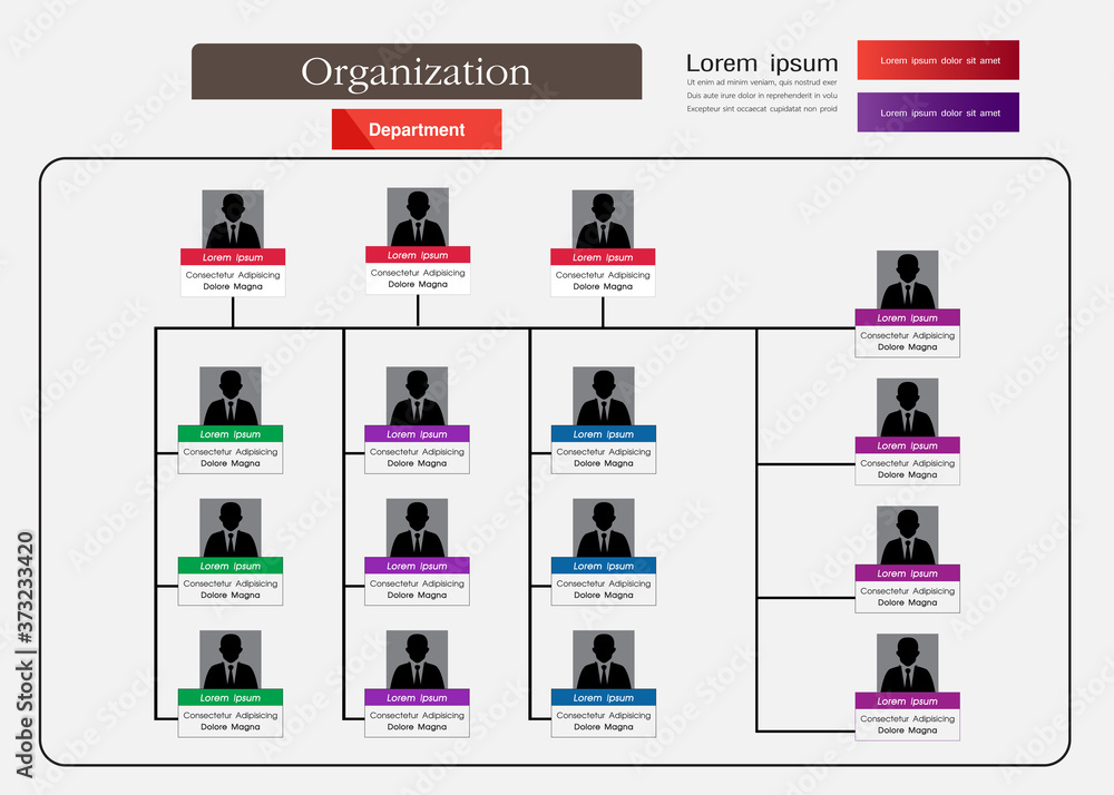 Organization Chart Infographics with People Icon and Abstract Line ...