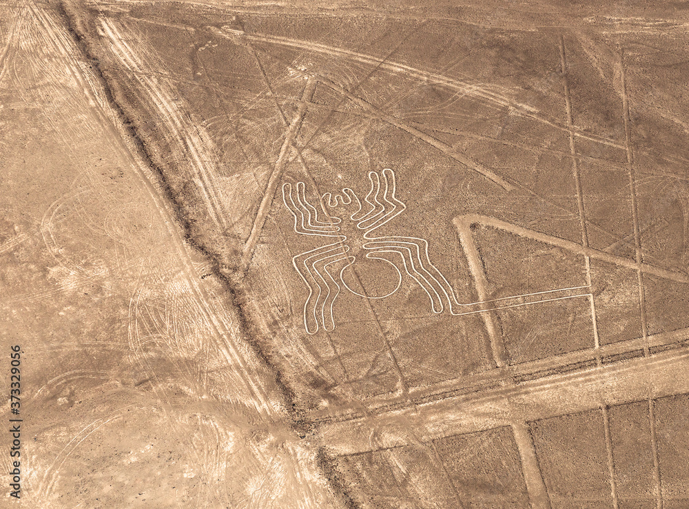 Aerial view of the spider geoglyph drawing in the peruvian coastal ...