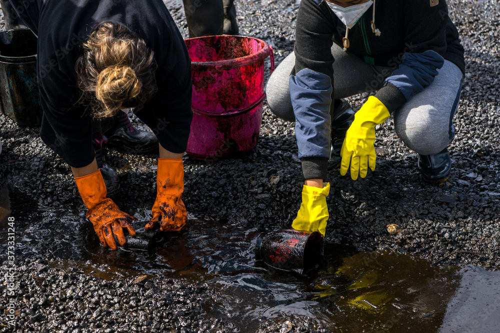 Volunteers clean the ocean coast from oil after a tanker wreck ...