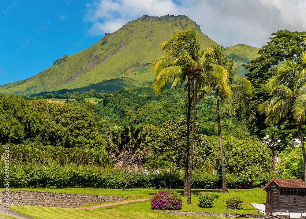 Poster A view looking up to the volcano, Mount Pelee in Martinique ...