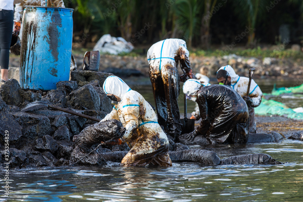 Volunteers clean the ocean coast from oil after a tanker wreck ...