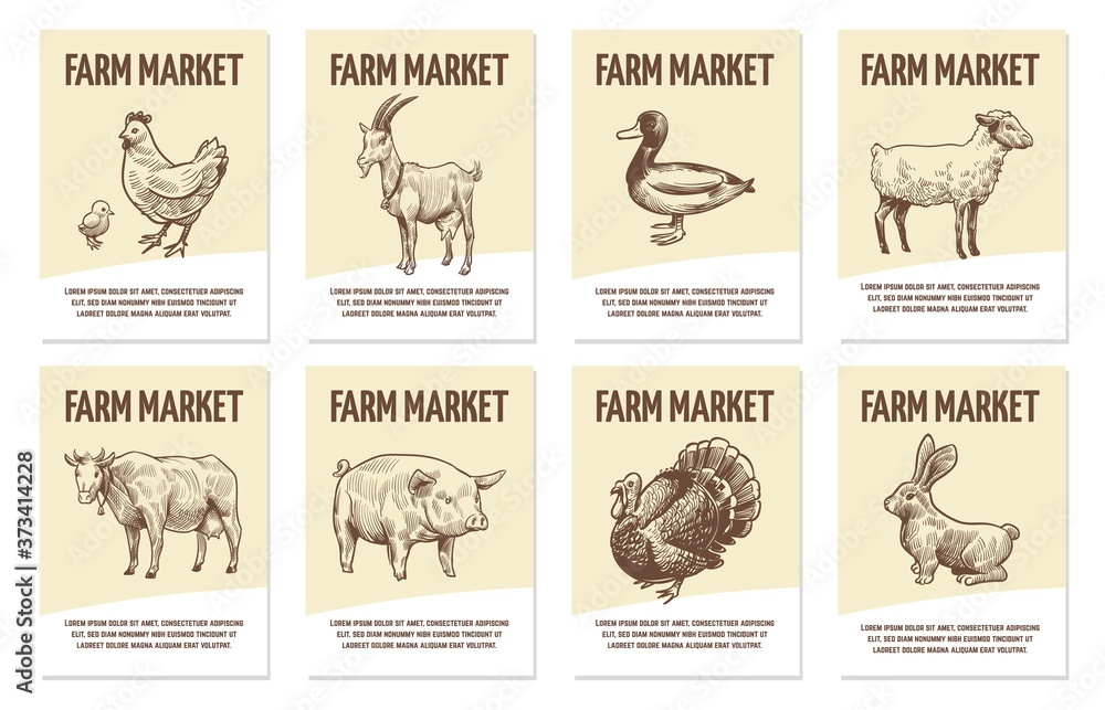 Farm animals labels. Tags for shops of organic food, hand drawn chicken ...