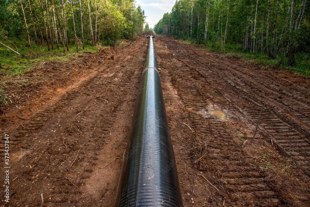 Crude oil and Natural gas pipeline construction work in forest area ...