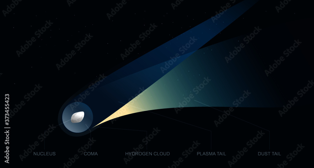 Comet and its parts vector, labelled Stock Vector | Adobe Stock