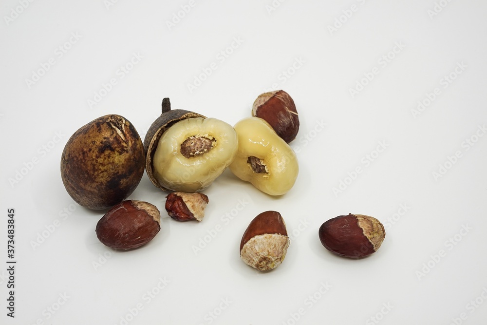 Matoa fruits (pomalia pinnata) of Papua, Indonesia peeled with dried ...