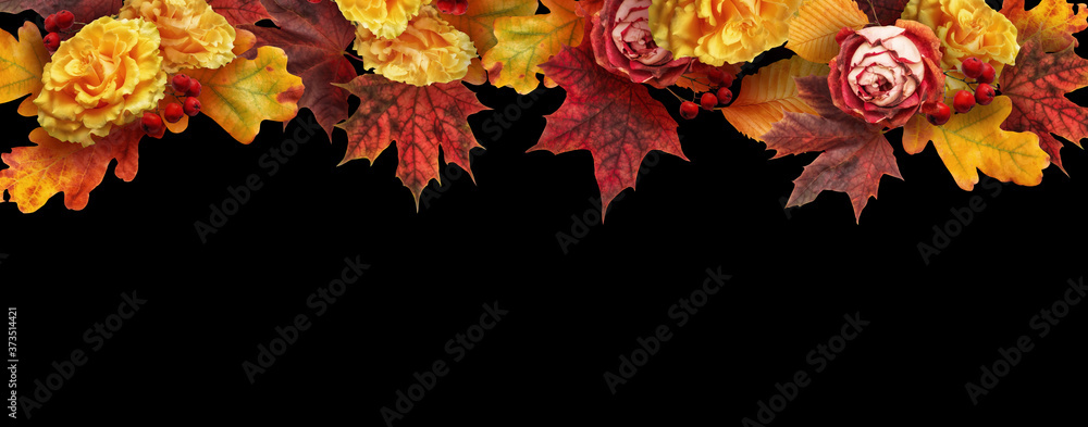Fall Leaves Header