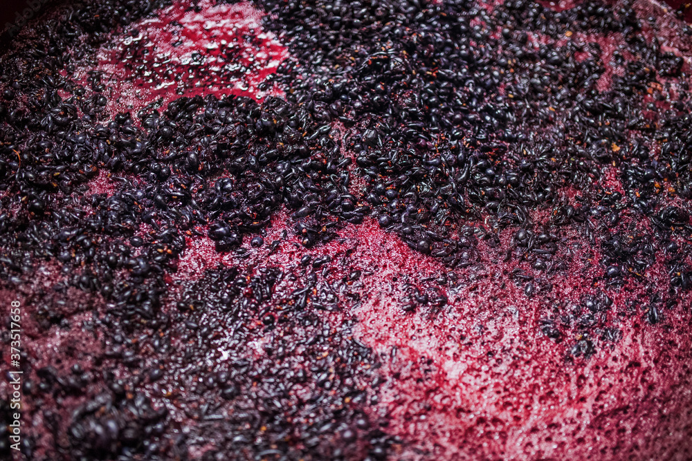 Fermentation of grape must, winemaking concept. Top view. Stock Photo ...